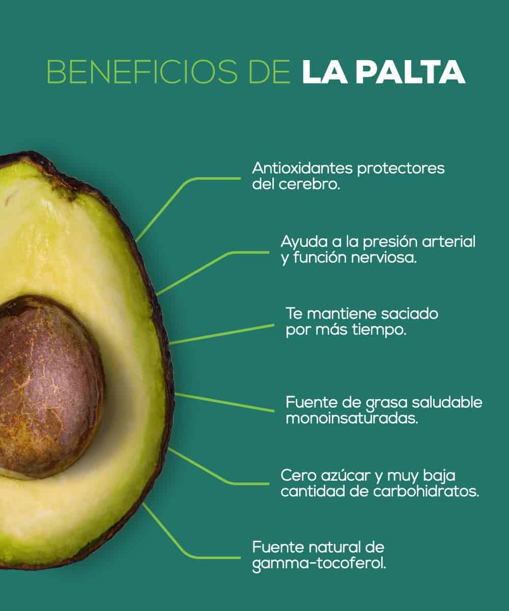 Los beneficios de incluir la palta en tu dieta - Academia Kinu Coaching ...